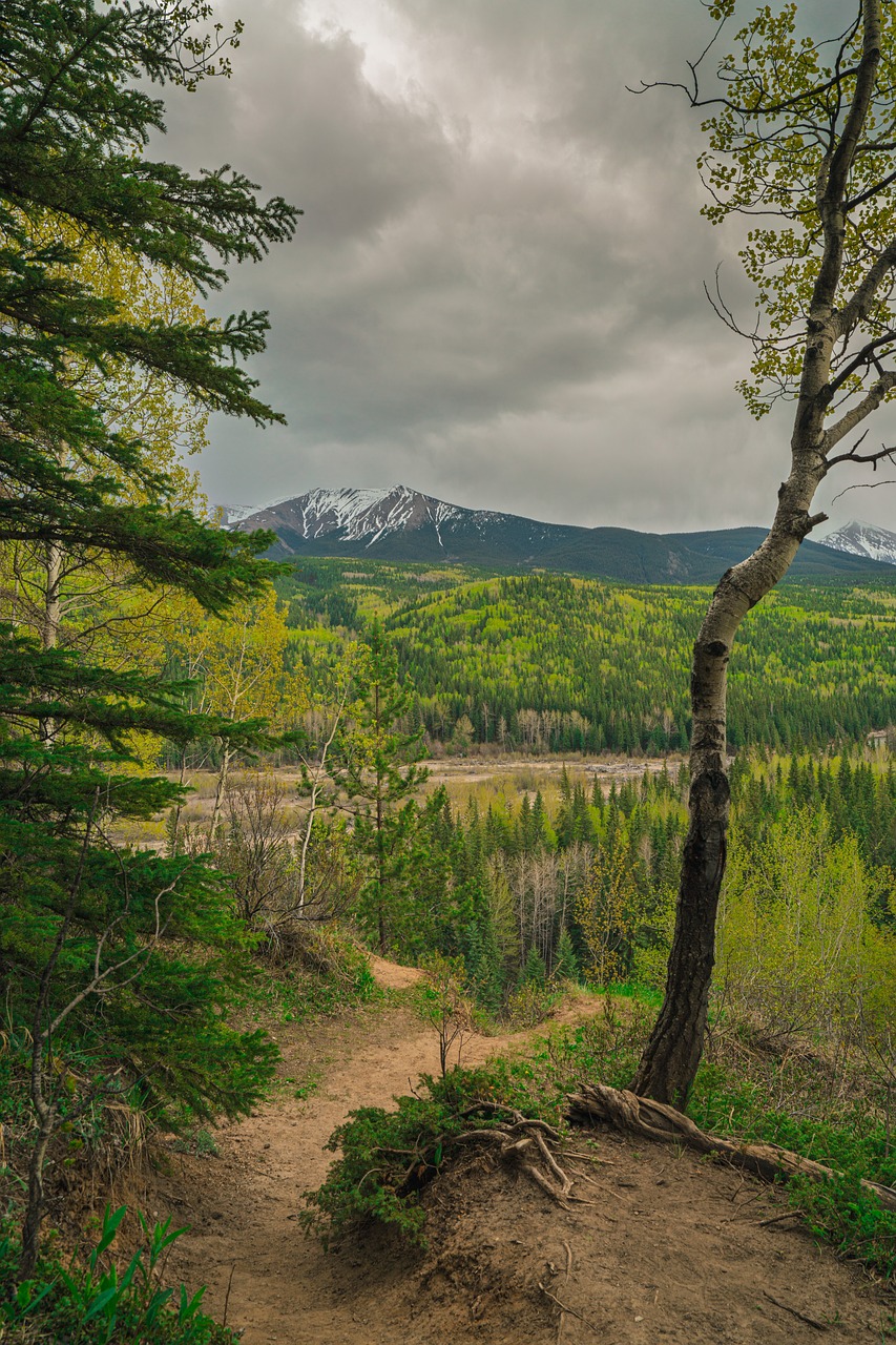 Landscape Alberta Canada - Free photo on Pixabay