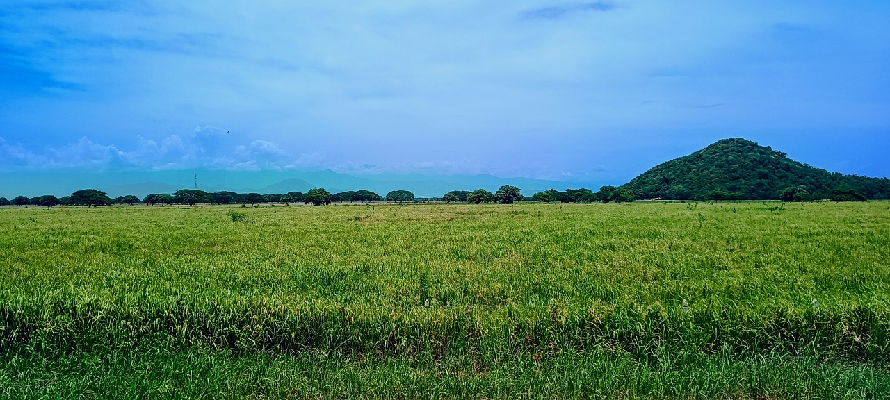 Nature Field Rural Landscape - Free photo on Pixabay