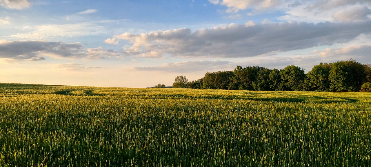 Country Nature Field - Free photo on Pixabay