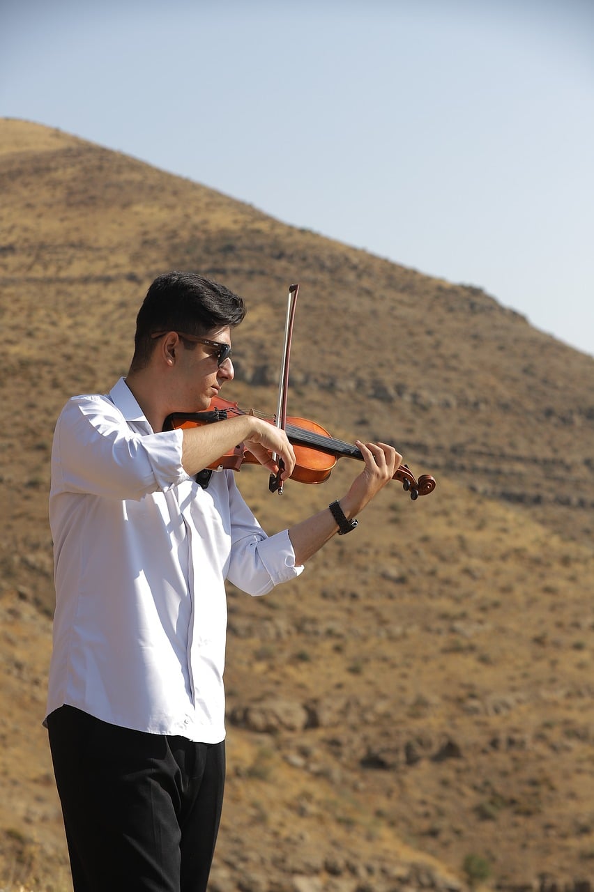 Musician Music Violin - Free photo on Pixabay