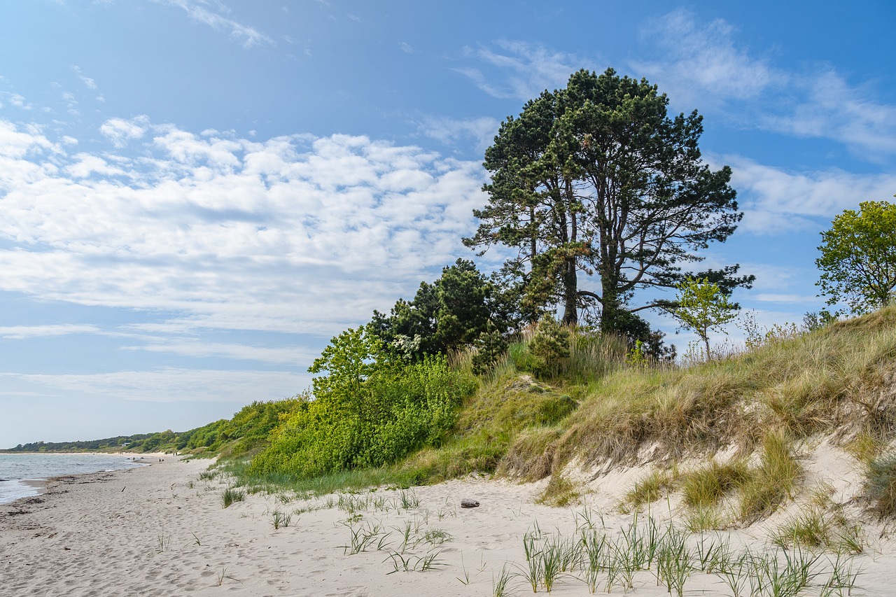 Strand Idyllisk Ostseeküste - Gratis foto på Pixabay
