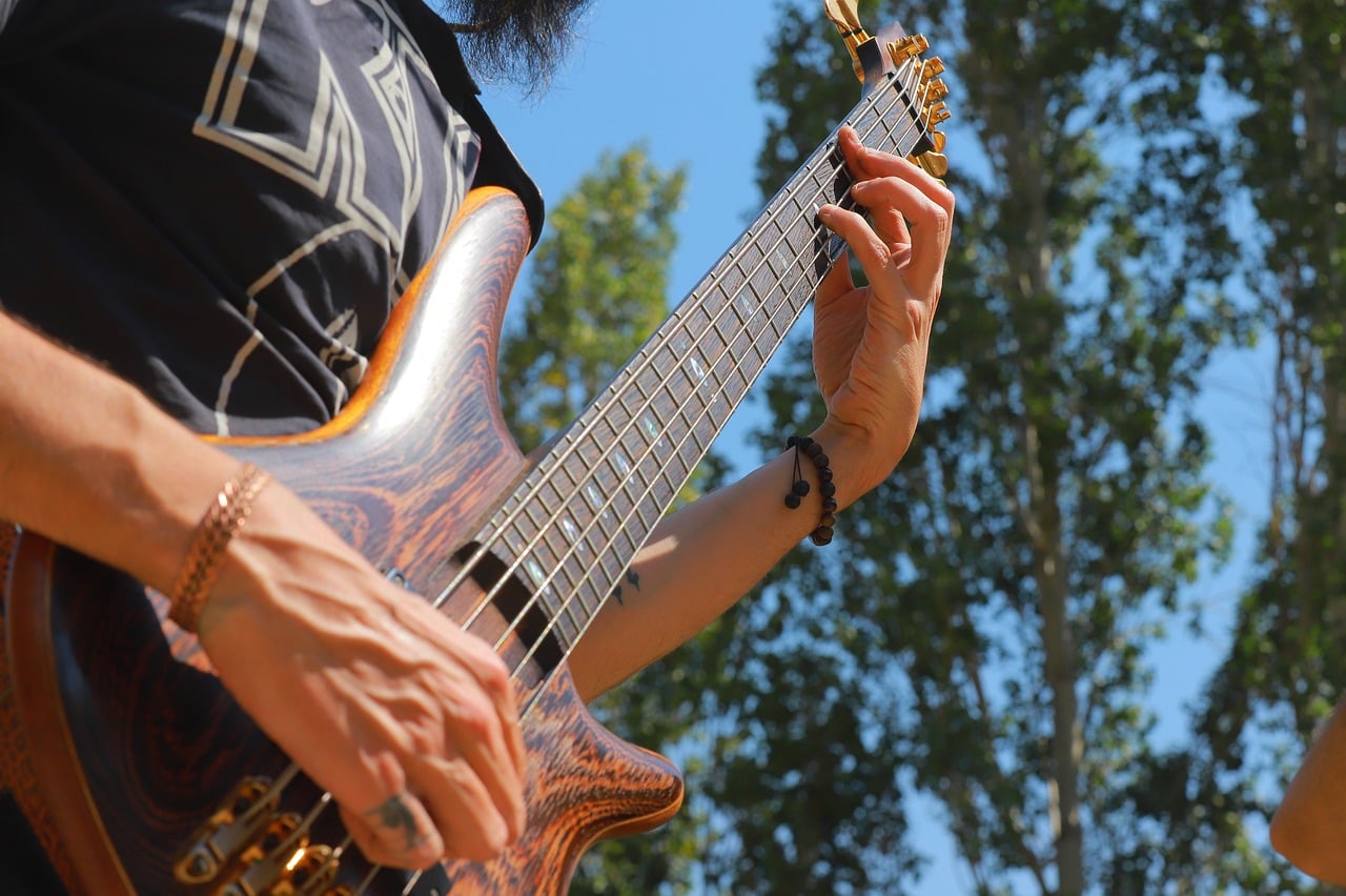 Músico Bajista Guitarrista - Foto gratis en Pixabay