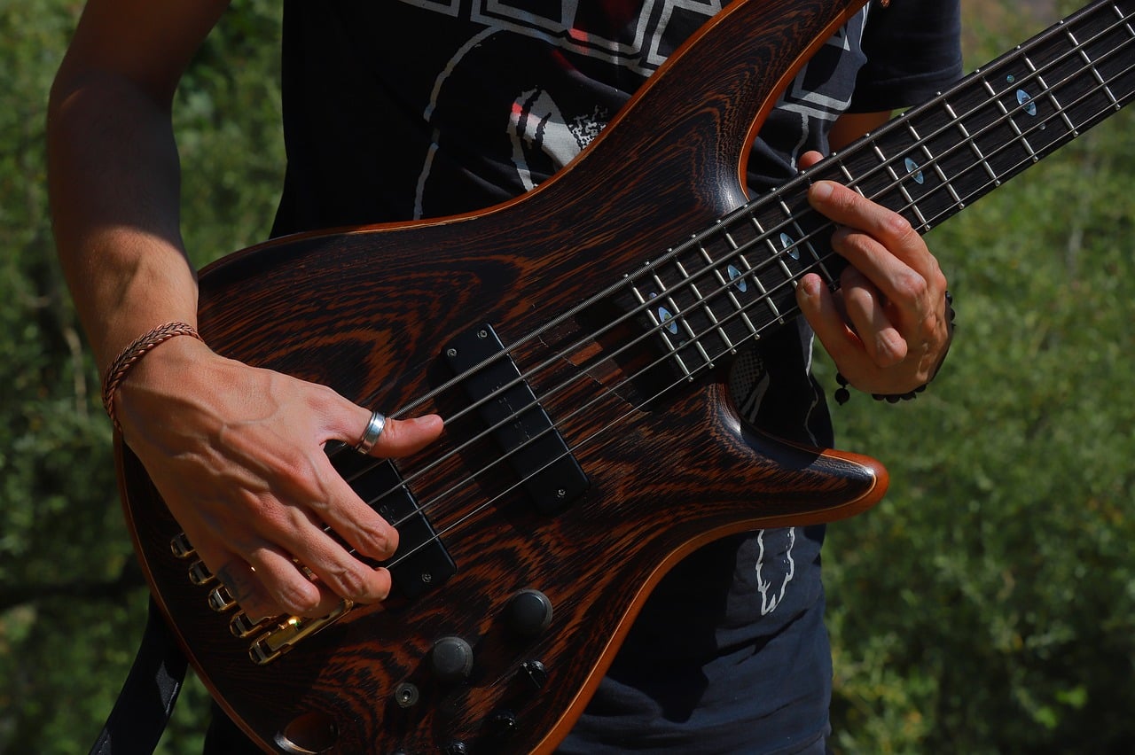 Músico Bajista Guitarrista - Foto gratis en Pixabay