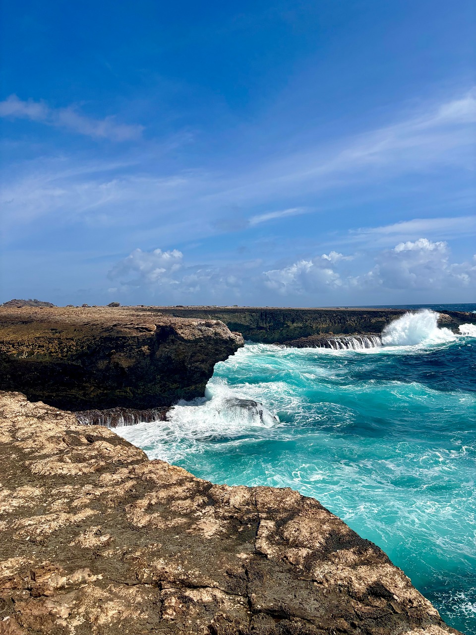 Bonaire Caribbean Sea - Free photo on Pixabay