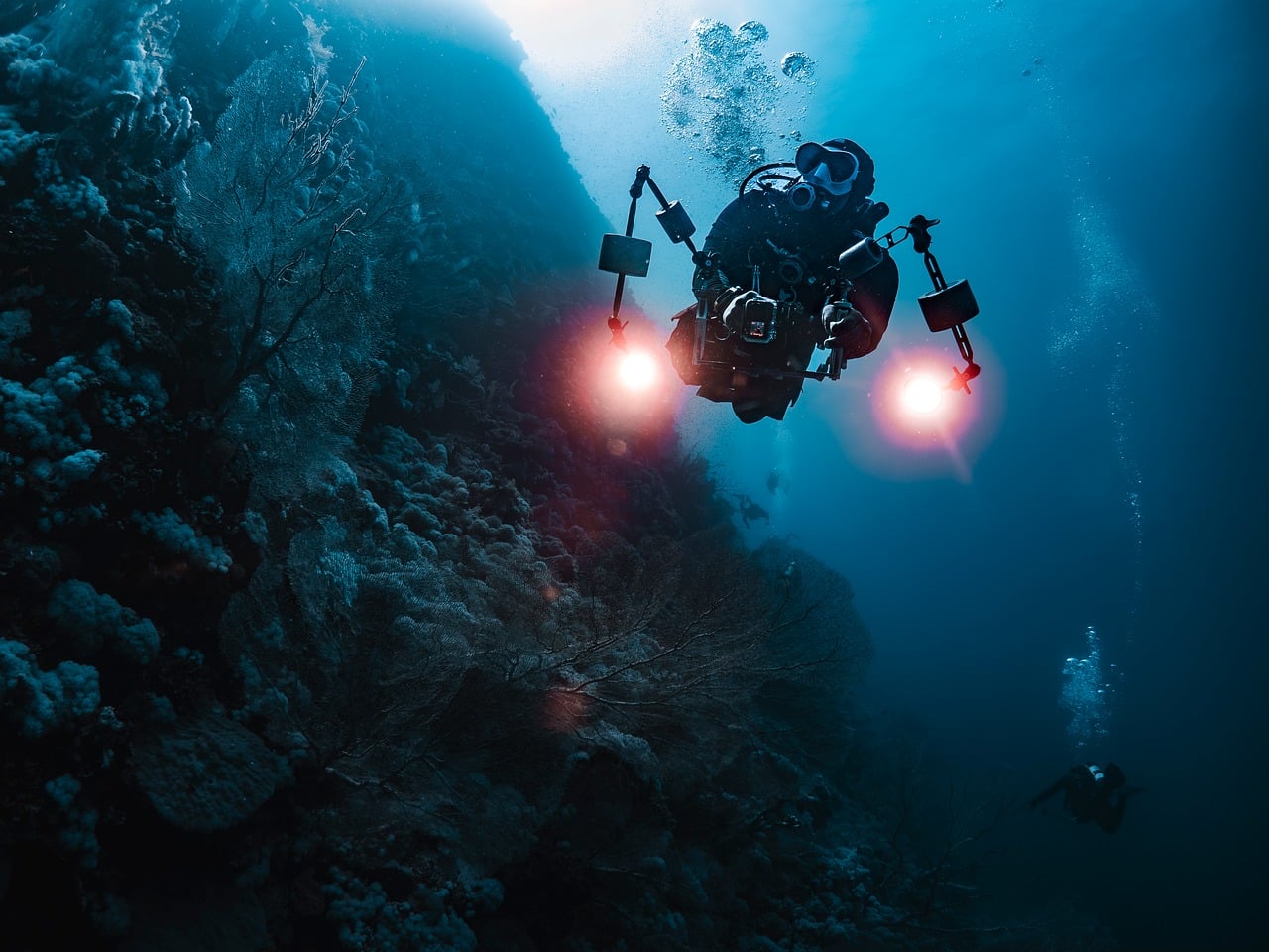 Diver Underwater Photography - Free photo on Pixabay