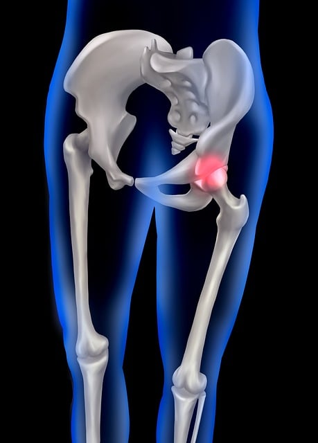 10,000+ Free Pelvic Floor Anatomy & Anatomy Images - Pixabay