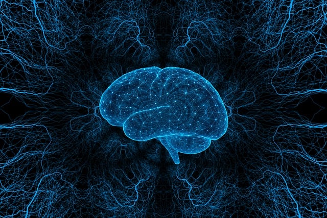 10,000+ Free Neural Network & Brain Images - Pixabay