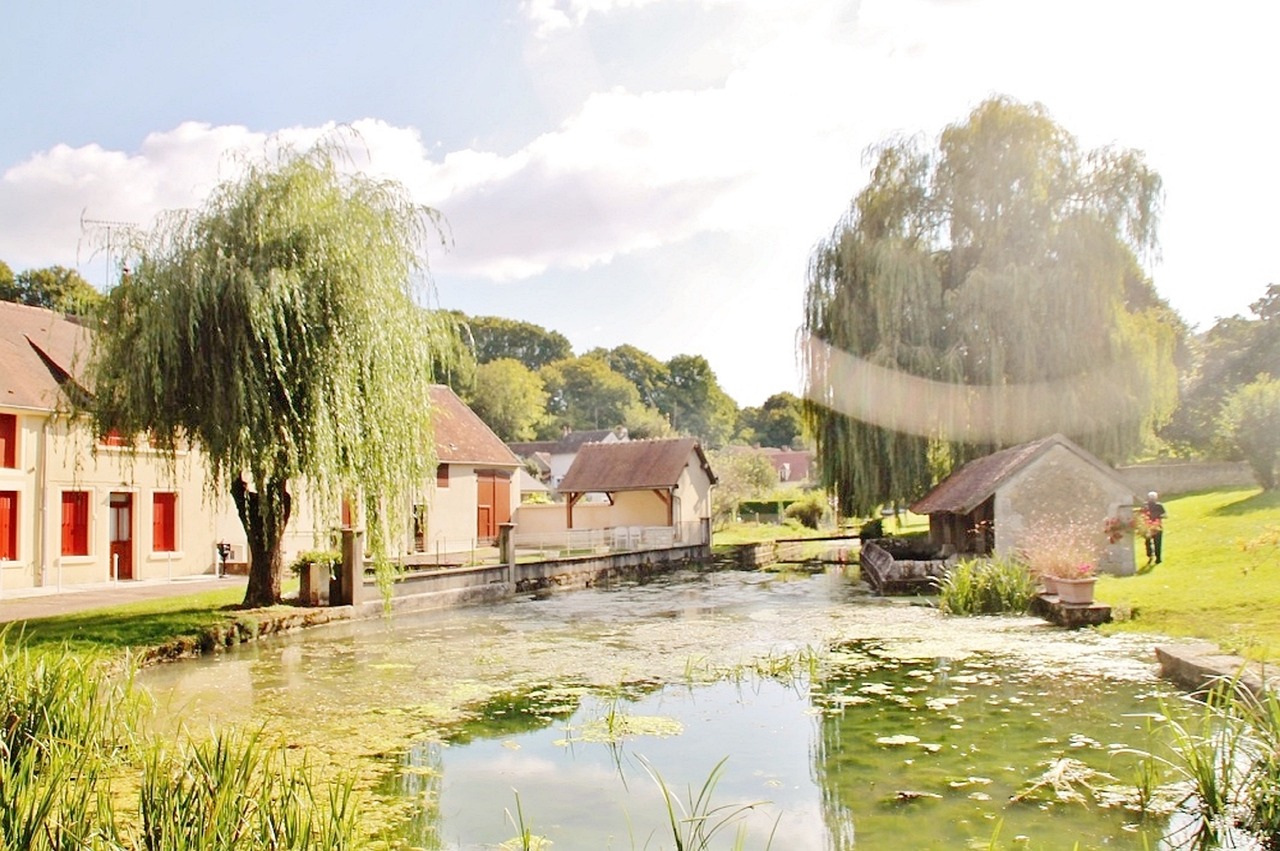 Village Nature City - Free photo on Pixabay