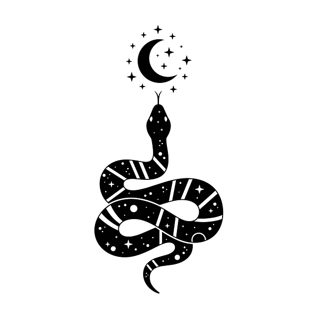 Download Snake, Serpent, Moon. Royalty-Free Vector Graphic - Pixabay