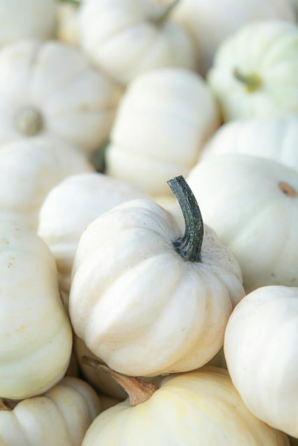 Pumpkins Fall Harvest Farm - Free photo on Pixabay