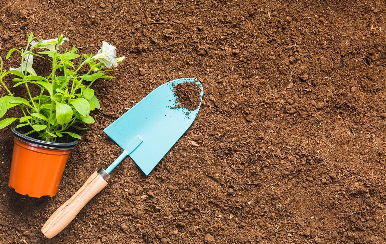 70+ Free Trowel & Gardening Images - Pixabay