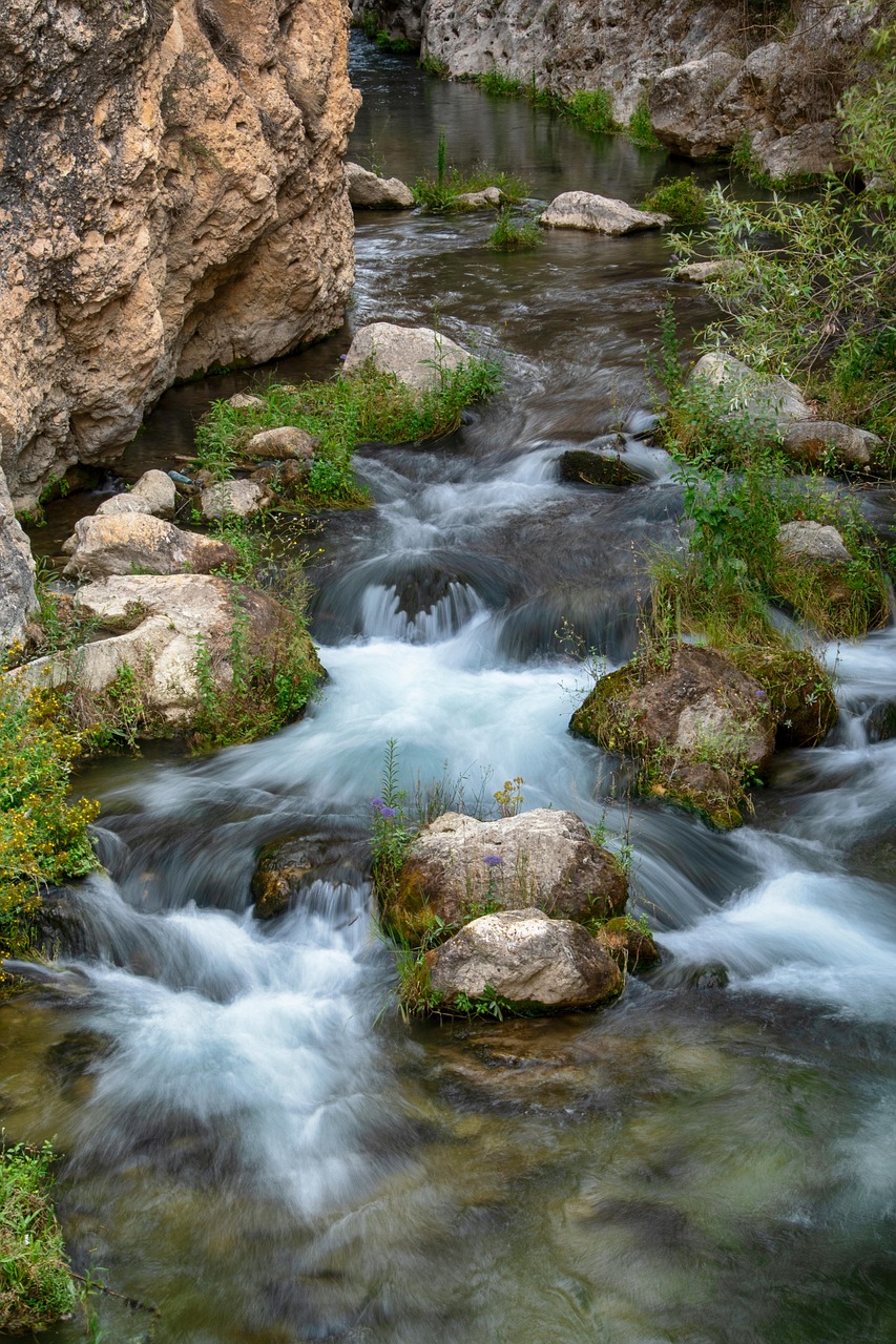 Landscape River Brook - Free photo on Pixabay