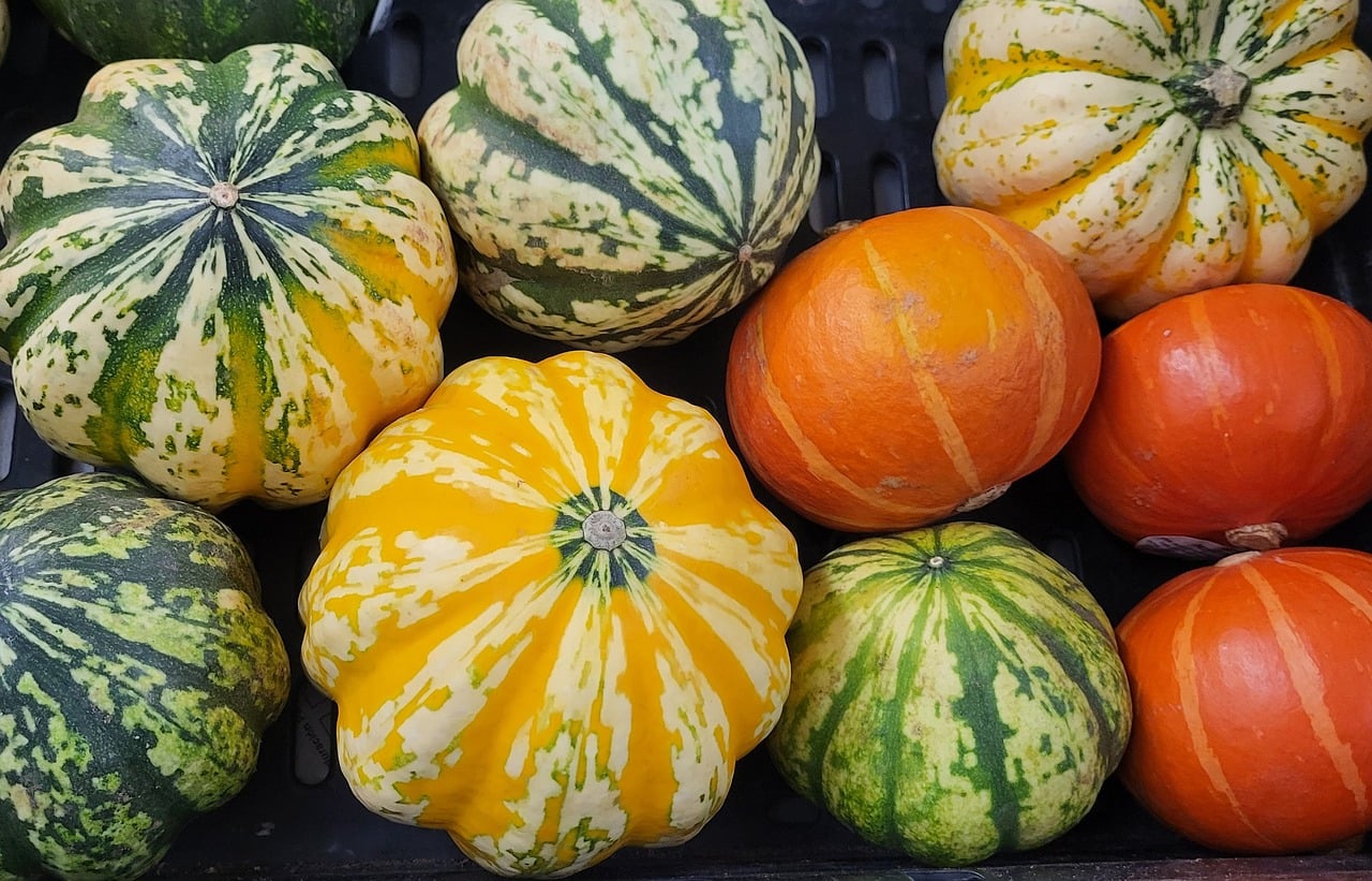 Pumpkins Halloween Autumn - Free photo on Pixabay