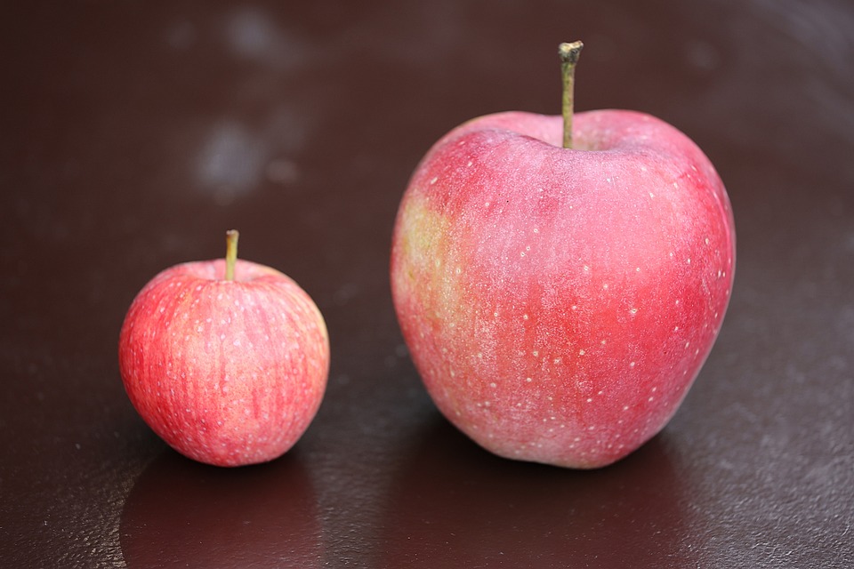 Wild Apple Left Gloster - Free photo on Pixabay