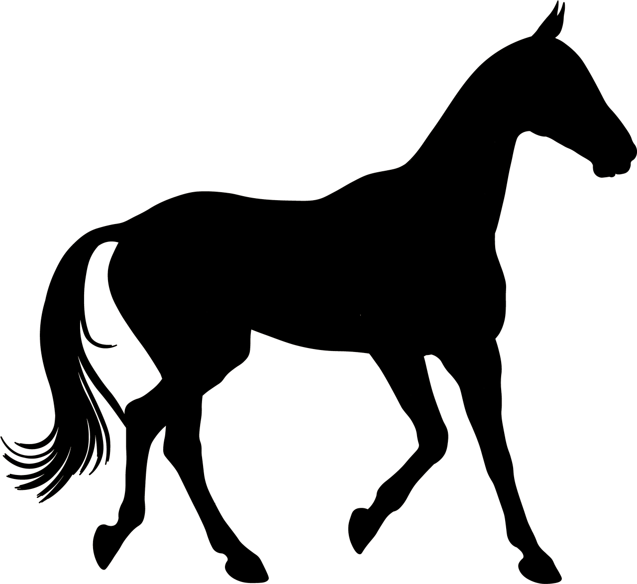 10,000+ Free Akhal-Teke Horse & Horse Images - Pixabay