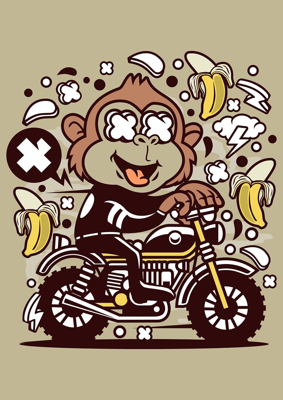 Monkey Motocrosser Moto - Free photo on Pixabay
