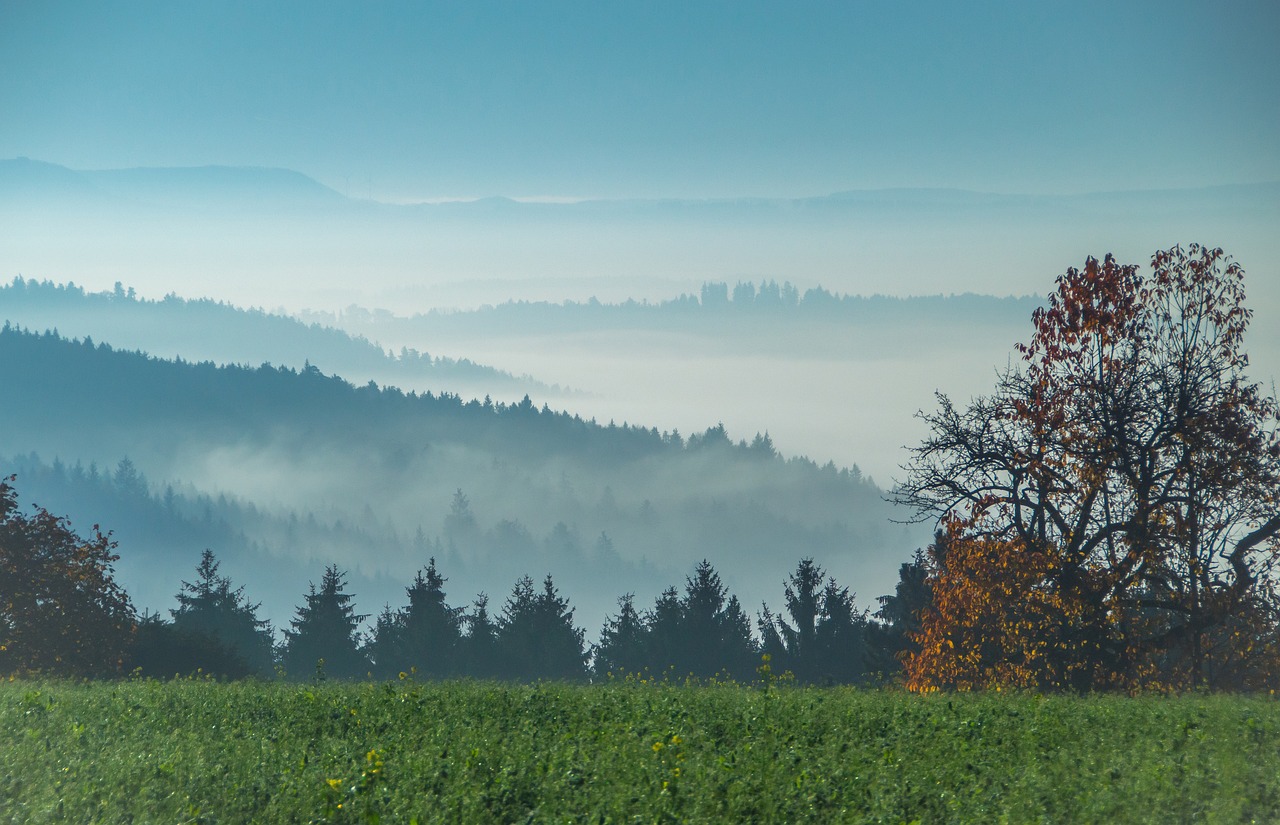 Horizon Landscape Fall - Free photo on Pixabay
