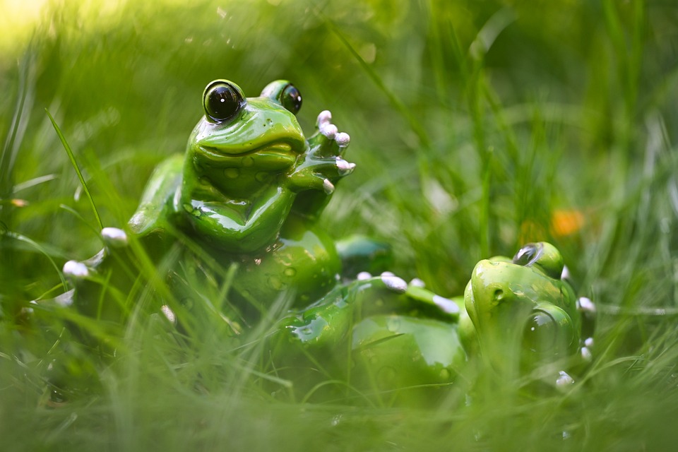 Frogs Mom And Child Cute - Free photo on Pixabay