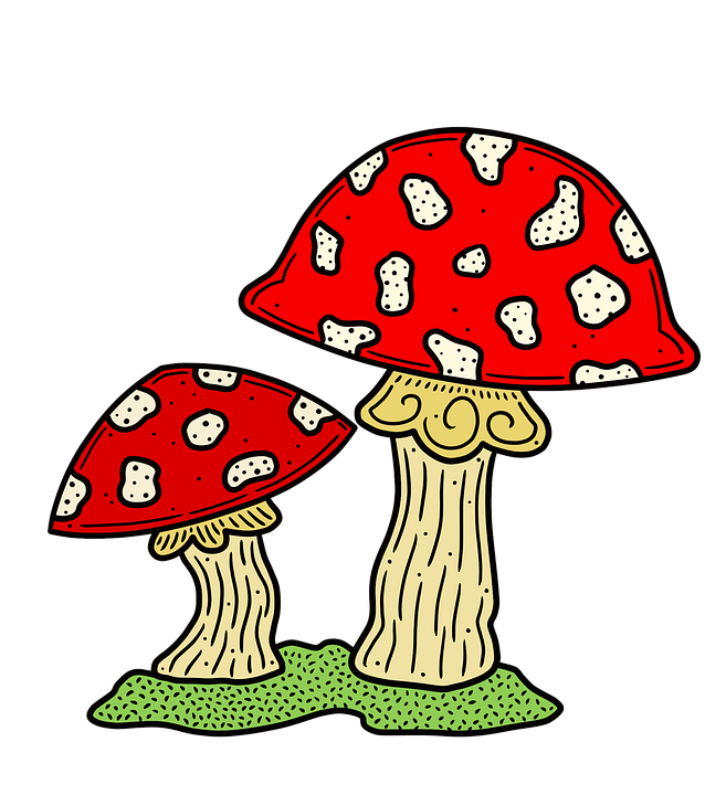 Halloween Champignons Magiques - Image gratuite sur Pixabay