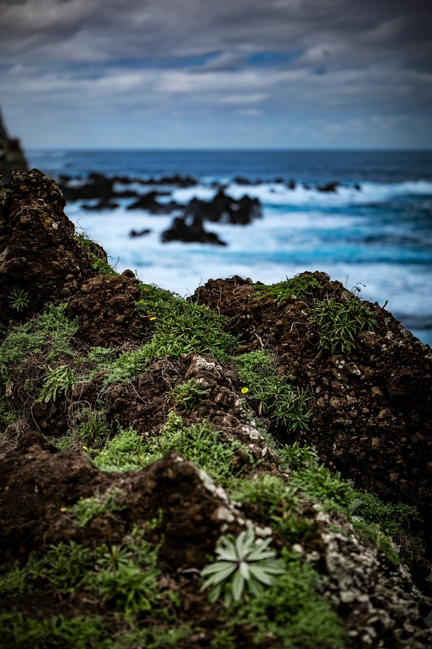 Madeira Portugal Natuur - Gratis foto op Pixabay