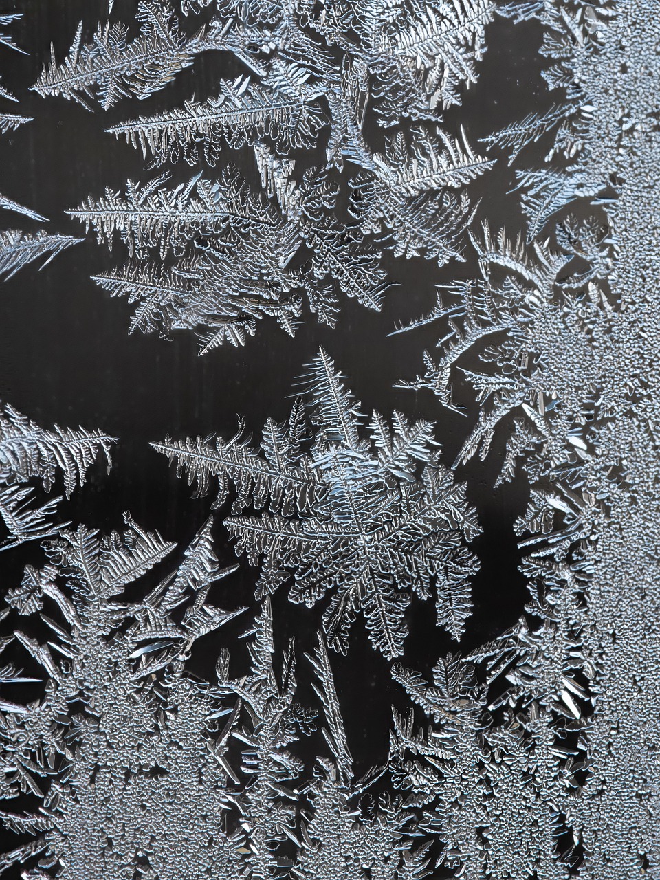 Ice Frost Frozen - Free photo on Pixabay
