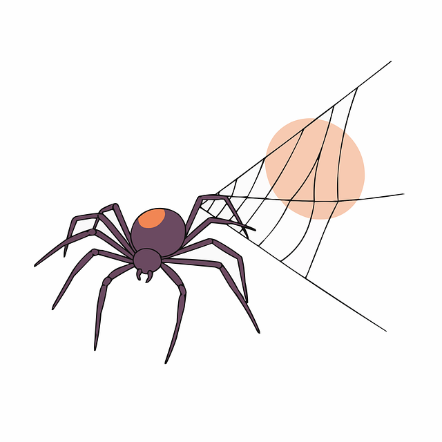 Halloween Spin Web - Gratis vectorafbeelding op Pixabay
