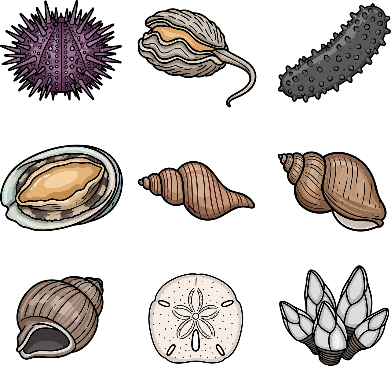 Download Sea Life, Marine, Ocean. Royalty-Free Vector Graphic - Pixabay