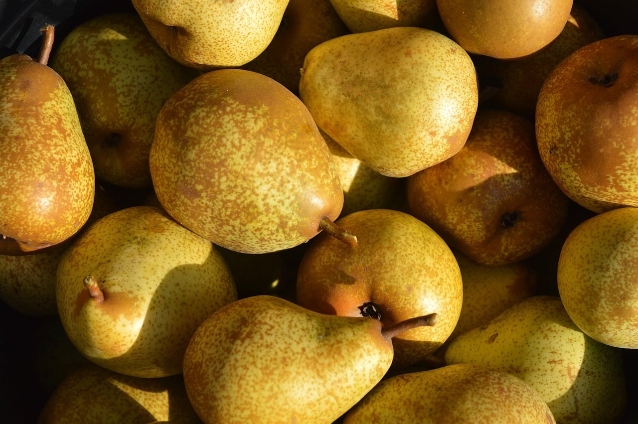 Pera Fruta Fresco Cosecha De - Foto gratis en Pixabay