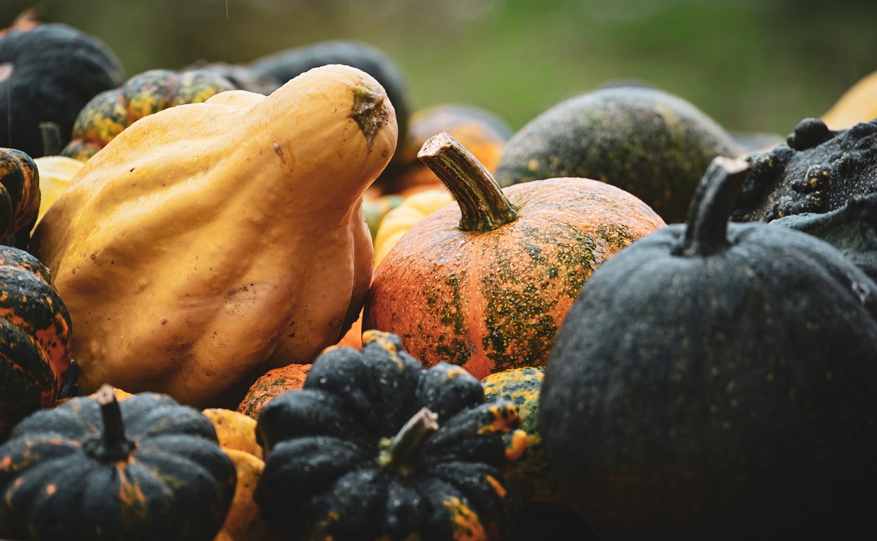 Pumpkin Fall October - Free photo on Pixabay