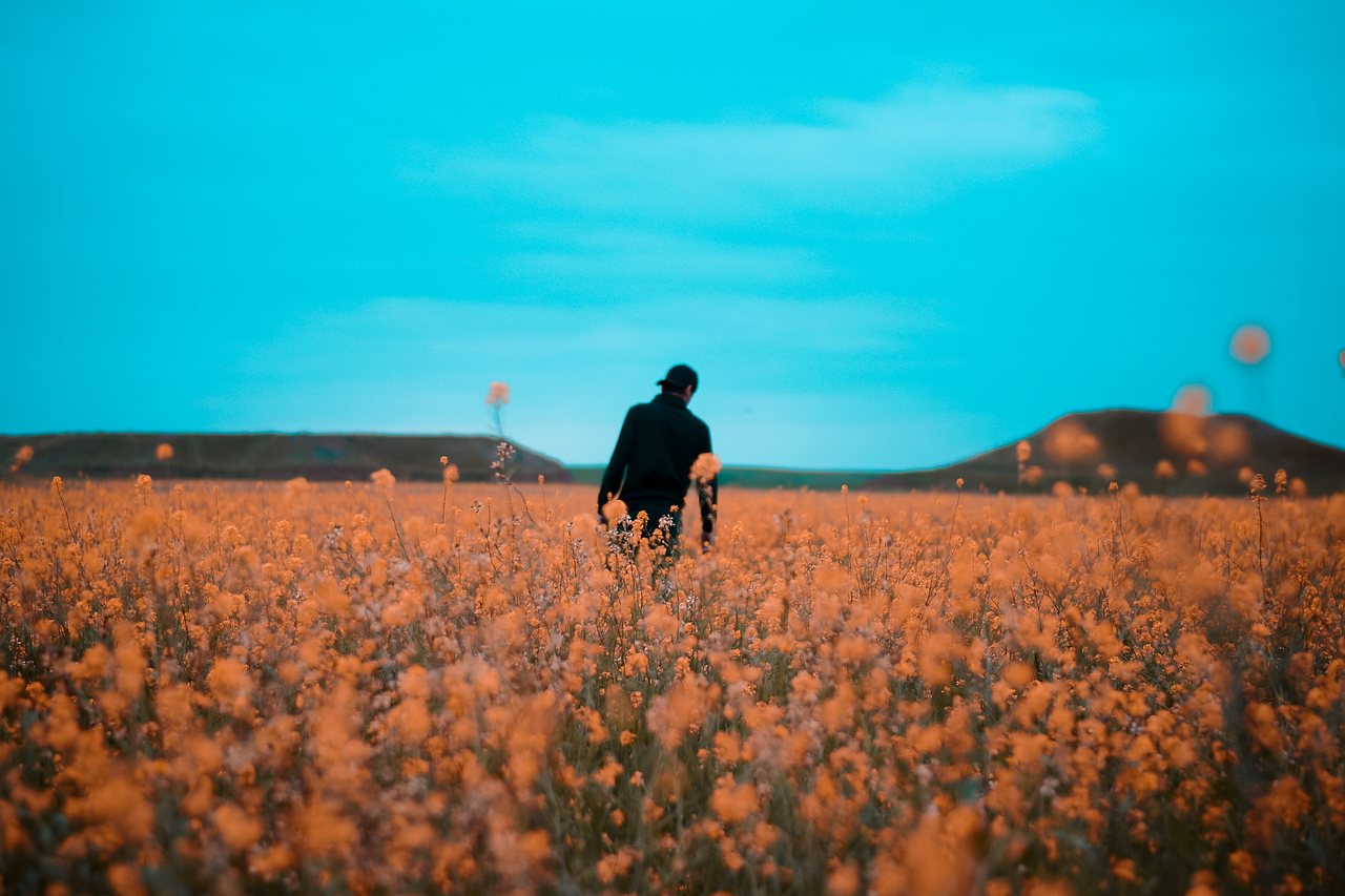 Download Flower, Yellow, Lost. Royalty-Free Stock Illustration Image ...
