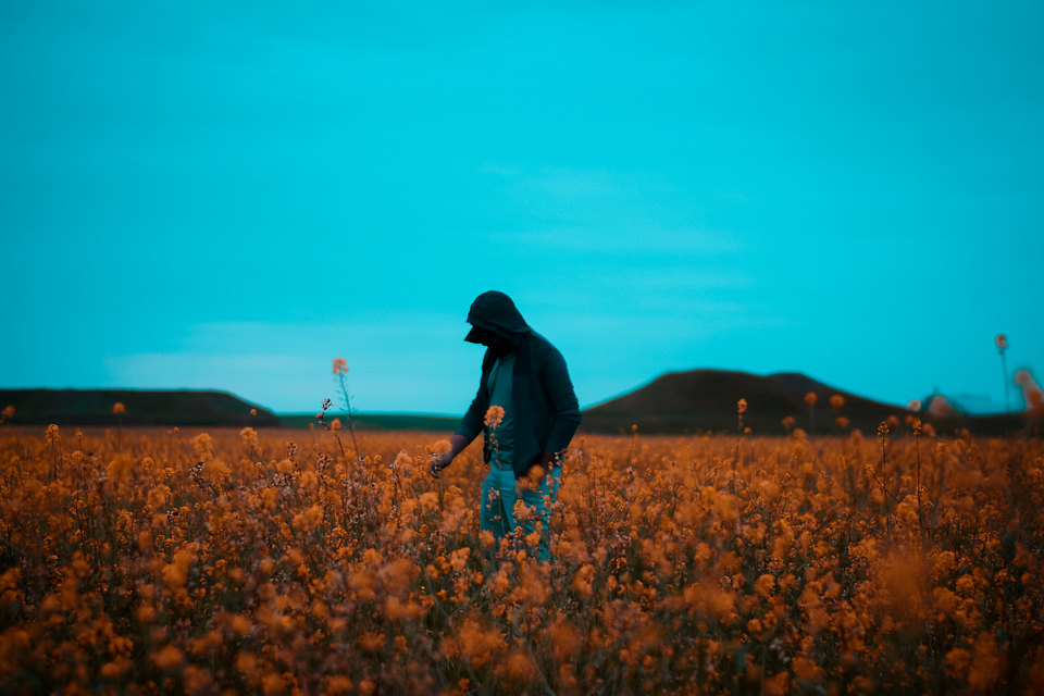 Download Flower, Yellow, Lost. Royalty-Free Stock Illustration Image ...