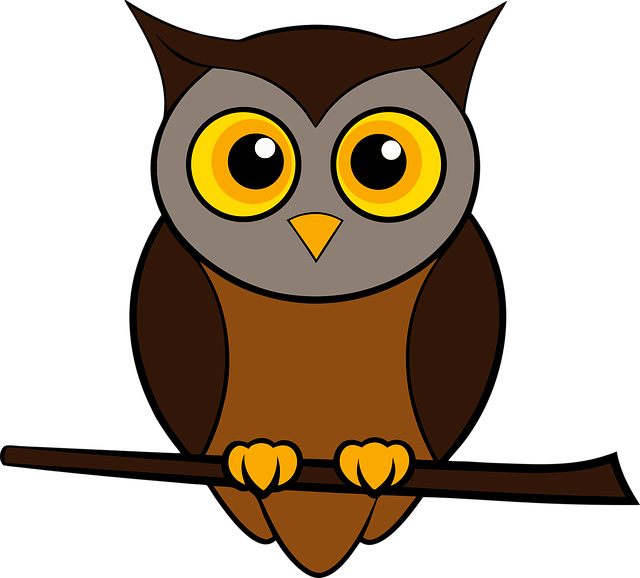800+ kostenlose Eule Clipart & Eule Vektorgrafiken - Pixabay