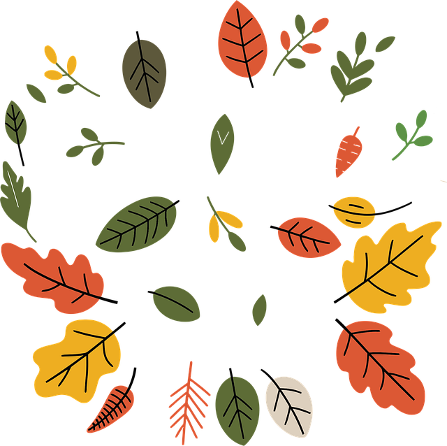 30,000+ Free Fall Season Clipart & Autumn Images - Pixabay