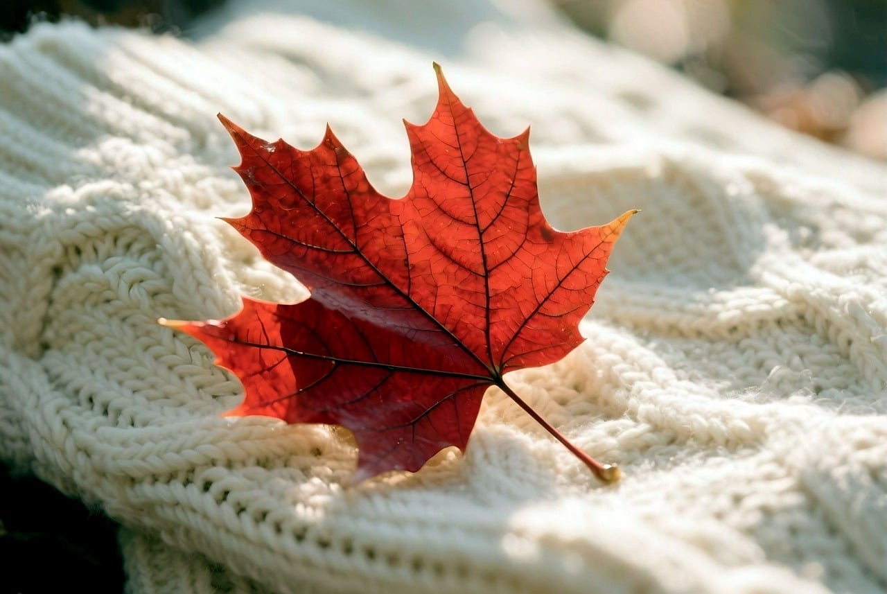 Download Maple Leaf, Autumn, Nature. Royalty-Free Stock Illustration ...