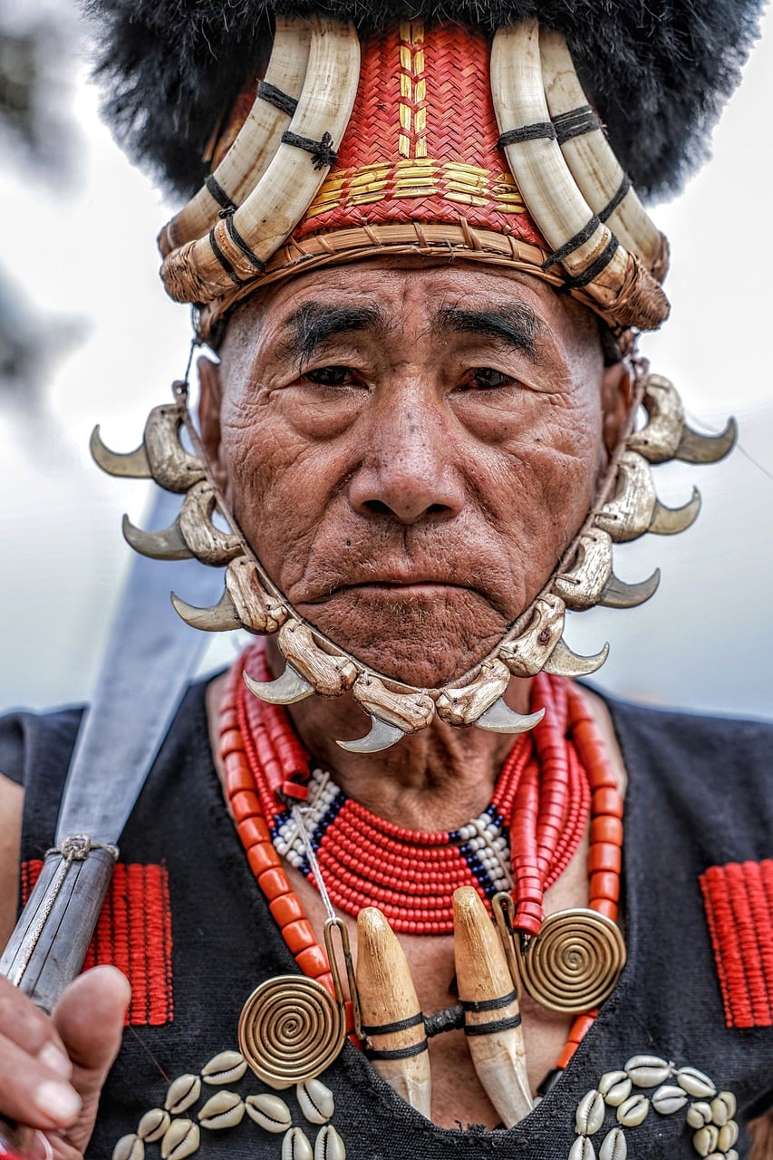 Tribe India Nagaland - Free photo on Pixabay