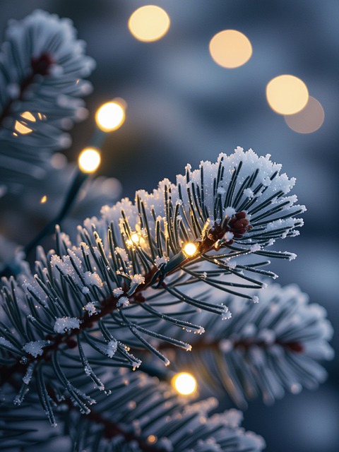 Download Christmas, Winter, Christmas Pictures. Royalty-Free Stock ...