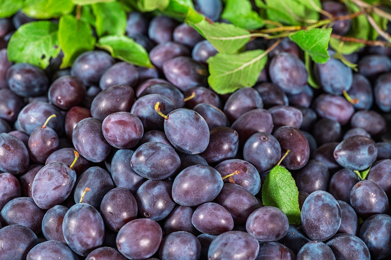 Plums Fruit Food - Free photo on Pixabay