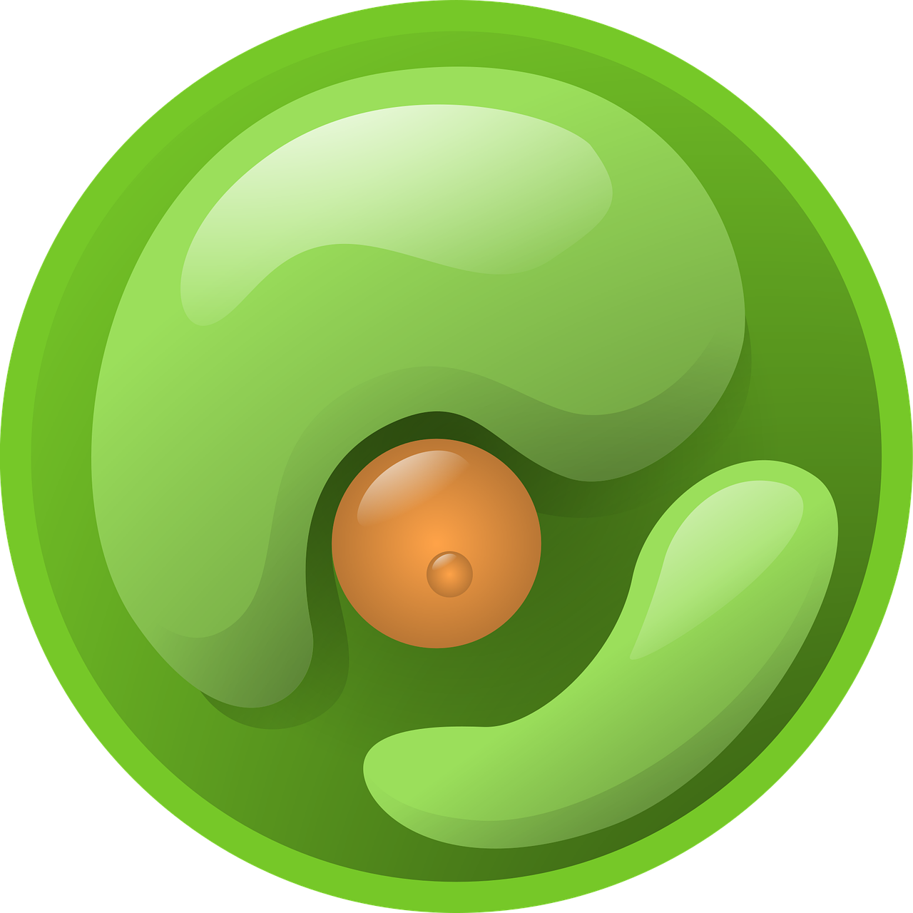 Download Chlorella, Green, Alga. Royalty-Free Vector Graphic - Pixabay