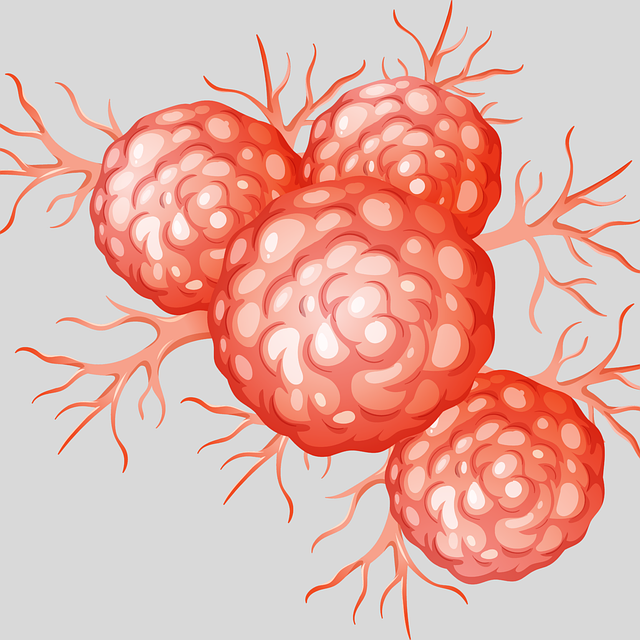 3,000+ Free Cancer Cell & Cancer Images - Pixabay