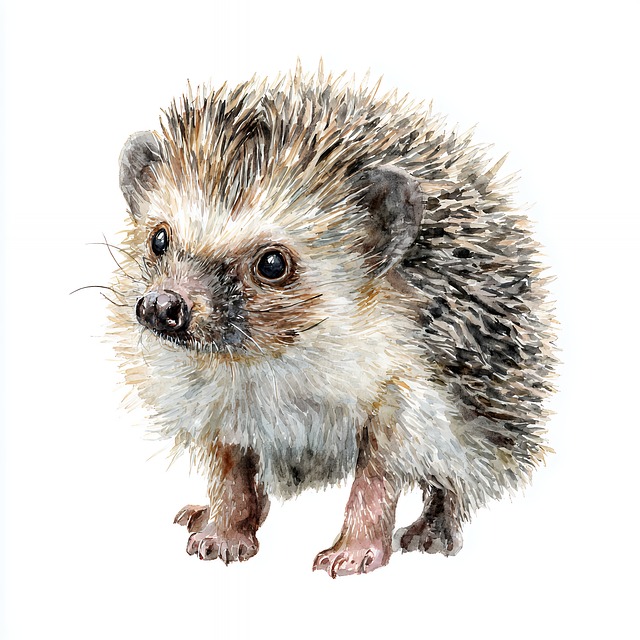 Explore 18,238+ Free Cartoon Hedgehog Illustrations: Download Now - Pixabay
