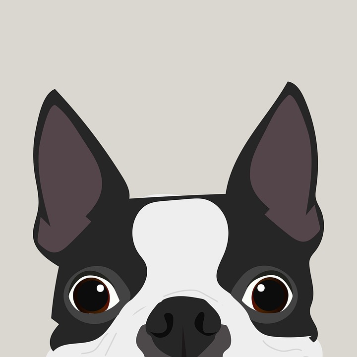 Dog Terrier Drawing - Free photo on Pixabay