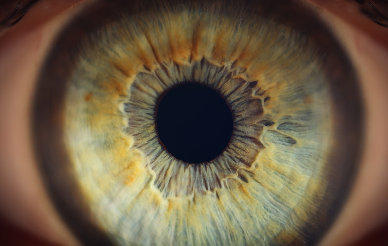Ojo Humano Persona - Foto gratis en Pixabay