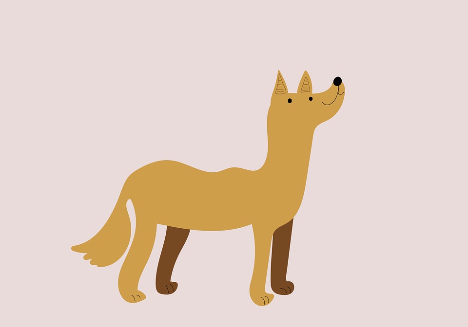 Download Dog, Wolf, Fox. Royalty-Free Stock Illustration Image - Pixabay