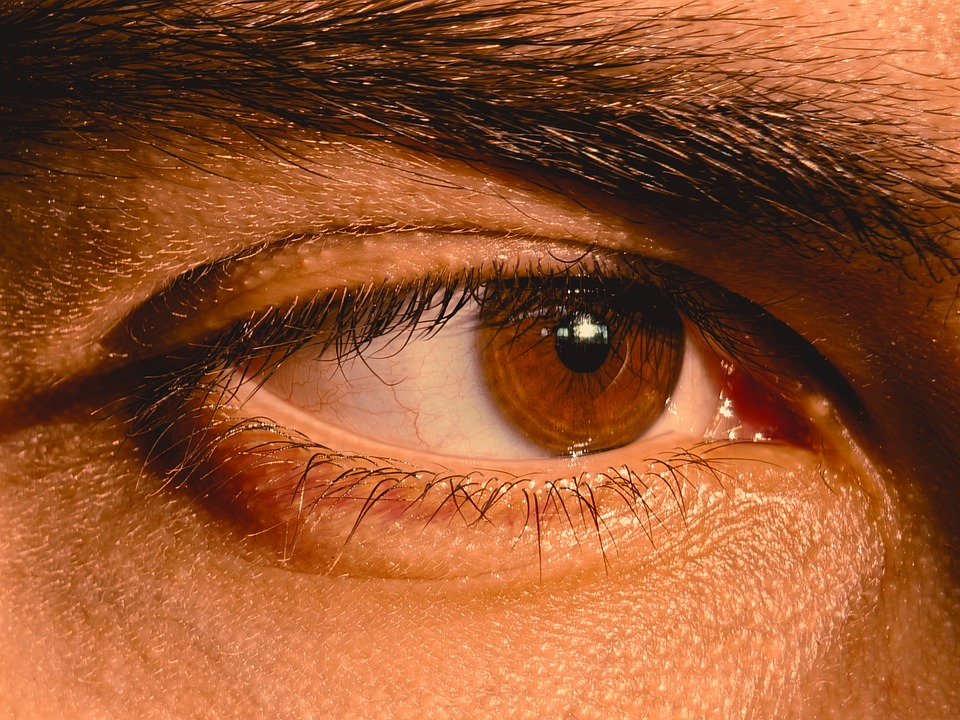 Eye Eyes Shoot - Free photo on Pixabay