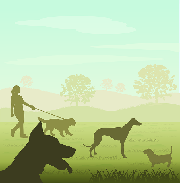 Honden Dieren Wandelen Lopen - Gratis vectorafbeelding op Pixabay