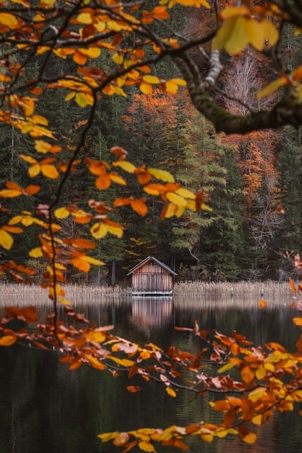 Cabana De Lac Frunze Toamna - Fotografie gratuită pe Pixabay