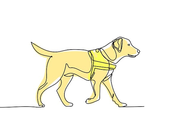 20,000+ Free Service Dog & Dog Images - Pixabay