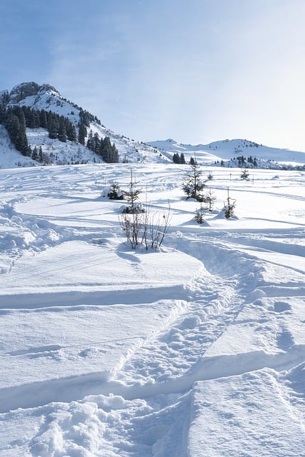 Suisse Neige Hiver - Photo gratuite sur Pixabay