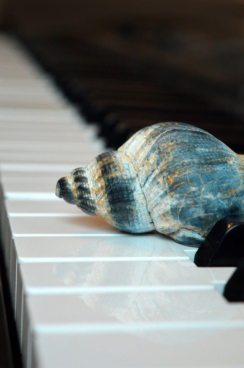 Sea Shanty Music Shanties - Free photo on Pixabay
