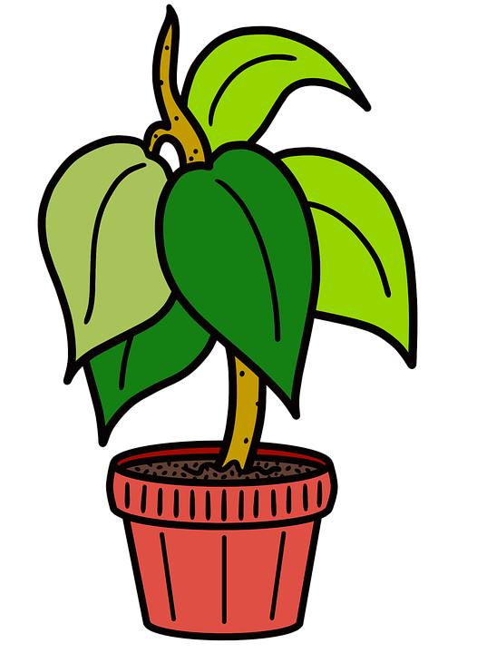 Plant Nature Living Room - Free photo on Pixabay